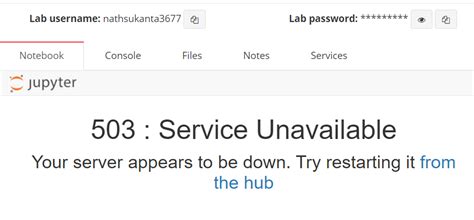 Unable To Run Jupyter Error 503 Lab Support Cloudxlab Discussions