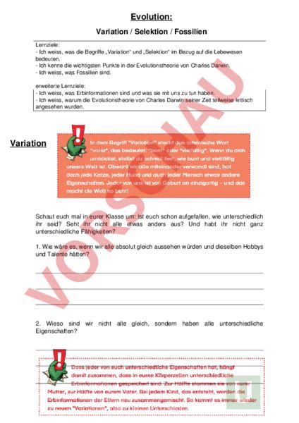 Arbeitsblatt Evolution Variation Selektion Biologie Evolution