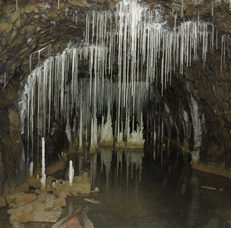 Pin By Queen Greta On Aesthetic Al Winter Scenes Lily Of The Valley Dreamcore Weirdcore