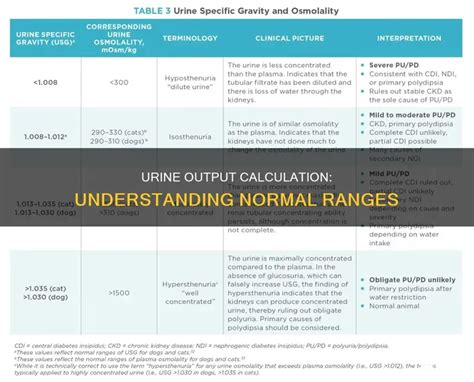 Urine Output Calculation Understanding Normal Ranges Medshun