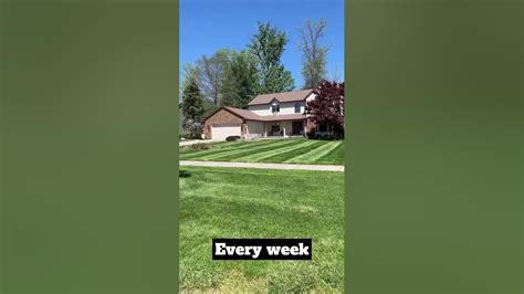 Greenest Grass Ever Exmarkmowers Greengrass Landscaping Youtube