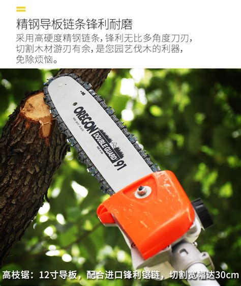 电动枝剪 修枝 评为 大山谷图库