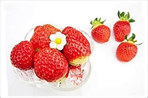 겨울 대표 열매채소 ‘딸기로 입맛 살리고 건강 챙기고