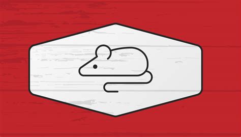 Mouse Math The Bug Man Pest Control Louisiana