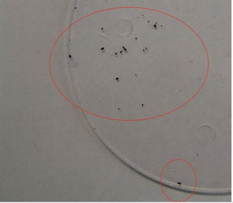 Plet 222 Lecture 13 Defects Contamination Flashcards Quizlet