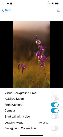 Control Your Background In Webex Meetings Using Mobile SDKs Webex Developers Blog