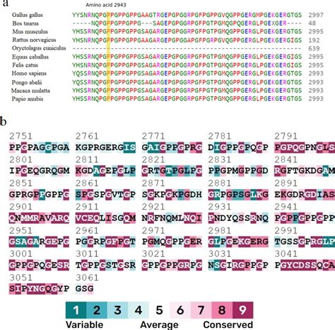 Evolutionary Conservation Analysis Of Ppro2943leu Mutation On Col12a1