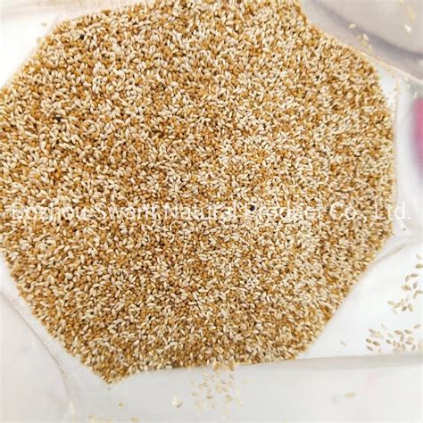 1kg Rapid Growing Phleum Pratense Timothy Grass Seeds For Sale China Timothy Grass Seeds And