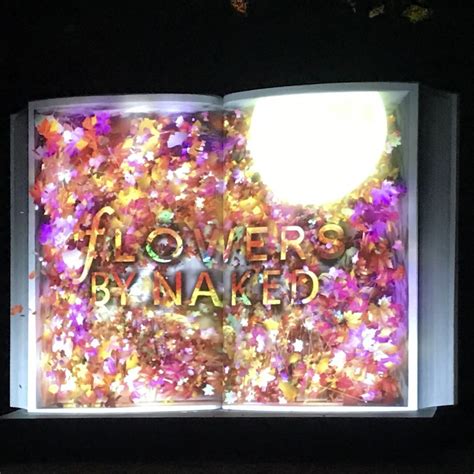 FLOWERS BY NAKED 2019 京都条城 壮大な生花に圧倒された ウェルビーイングな暮らしリノベーション断捨離収納の話