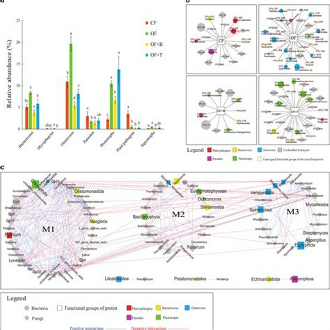 Pdf Soil Protist Communities Form A Dynamic Hub In The Soil Microbiome