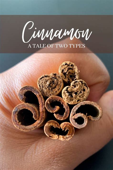 Different Types Of Cinnamon Explained