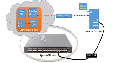 Dhiman Deb Chowdhurys Blog Network Virtualization 101 Nve Overlay And Sdn