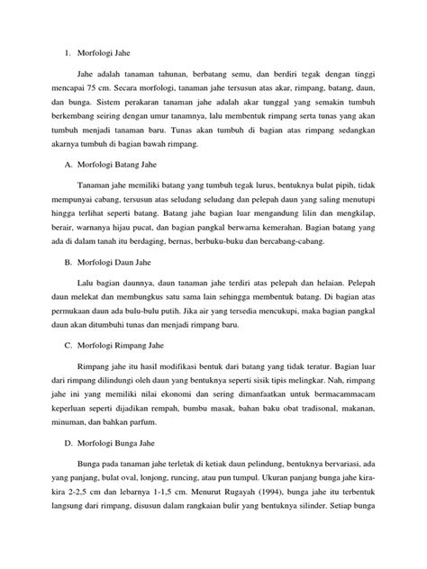 Morfologi Jahe Pdf