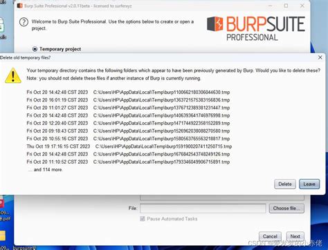 Burp Suite抓包工具安装、运行环境配置配置burp抓包软件 Csdn博客