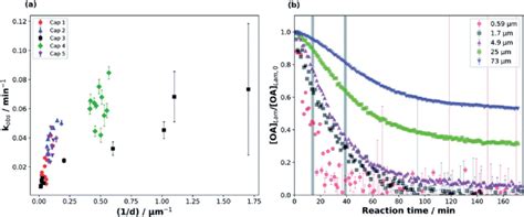 A Observed Pseudo First Order Rate Constants K Obs For The Download Scientific Diagram