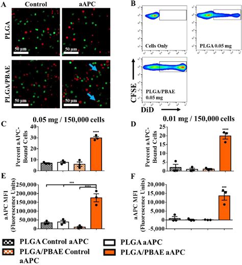 Figure 1 From Biomimetic Tolerogenic Artificial Antigen Presenting Cells For Regulatory T Cell