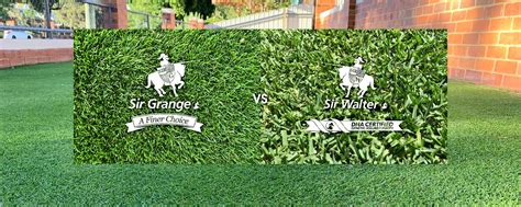 Sir Grange Vs Sir Walter A Battle Of The Best Turf Varieties
