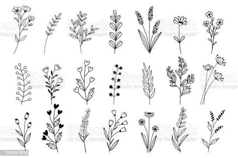 벡터 핸드 그린 꽃과 잎 요소 빈티지 꽃 낙서 컬렉션 디자인 템플릿 결혼식 카드 초대장 인사말 카드 포스터 엽서 실루엣에 대한 스톡 벡터 아트 및 기타 이미지 Istock