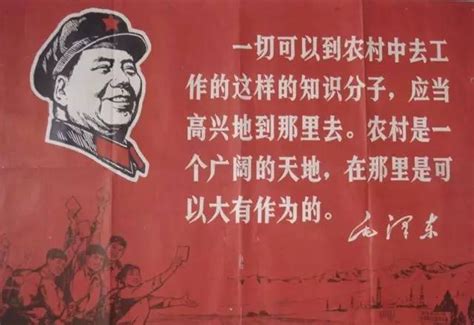 农村是一个广阔的天地，在那里可以大有作为！