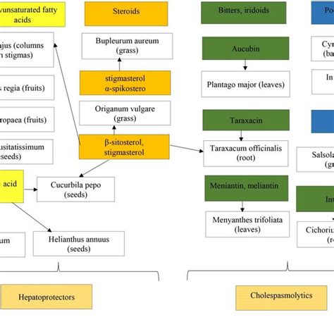 Diagnostic Criteria For Acute Cholangitis Tokyo Guidelines Download