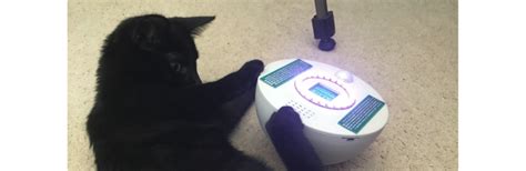 New Guide Hallowing Interactive Cat Toy Adafruitlearningsystem Dastels Feather Hallowing