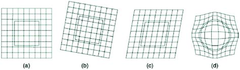 3 Example Of Different Types Of Transformations Of A Square A Download Scientific Diagram