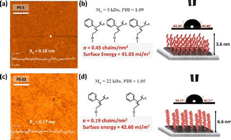 A C Atomic Force Microscopy Afm Topography Images And