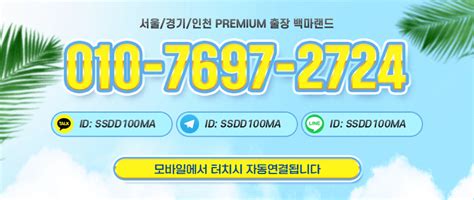 서울 강남구 출장업소 백마랜드섹스출장 최신 프로필 소개 코스안내 예약 가격비교 할인정보