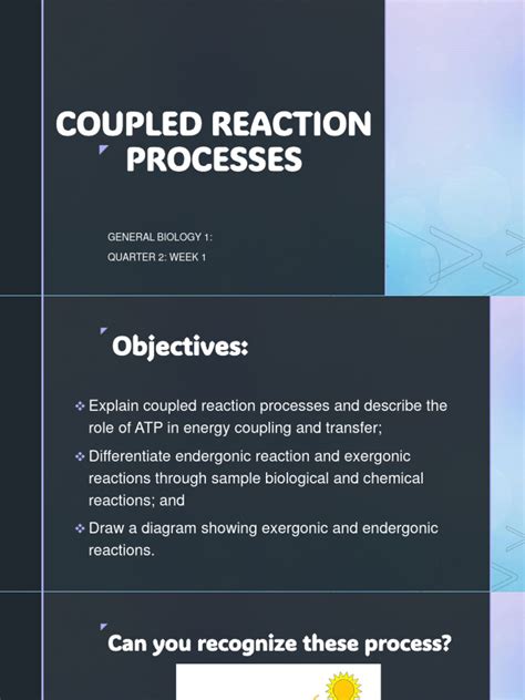 Coupled Reaction Processes Pdf Adenosine Diphosphate Adenosine Triphosphate