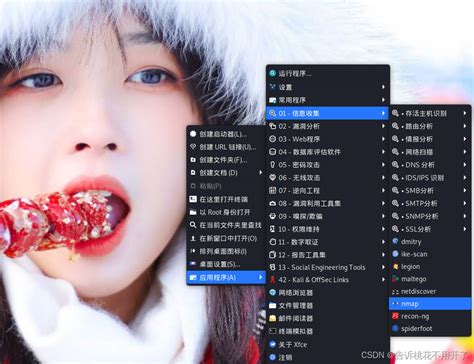 Nmap在kali的使用方法和常见命令（入门）kali的nmap用法 Csdn博客