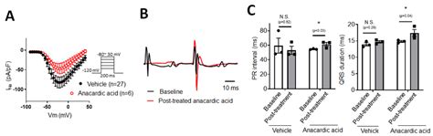 Prolonged Pr Interval And Qrs Duration In Scn5a Mice Dosed With