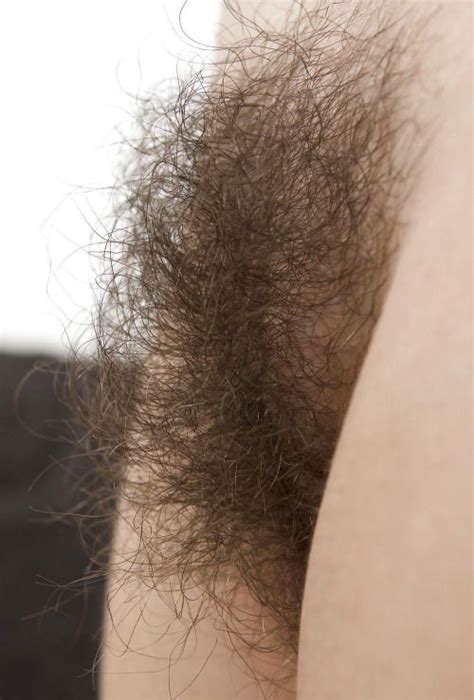 Pubic Hairs Xooly