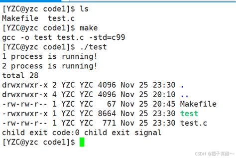 Linux操作系统2 进程控制3 进程替换exec相关函数和系统调用 EW帮帮网