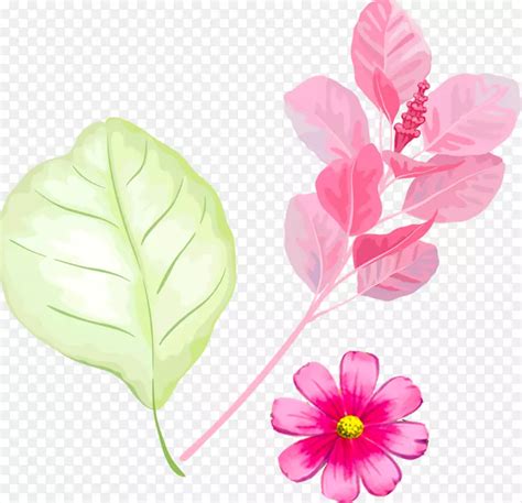 梦幻花草png素材png图片素材下载 图片编号7280539 Png素材网