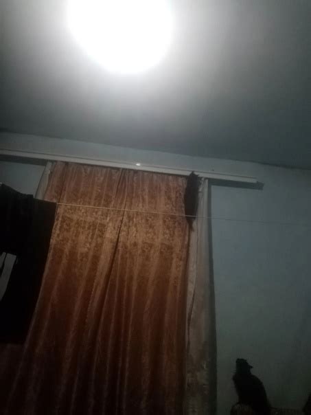 Опиши происходящее на картинке интересной историей и получи 15 кошки и котята ВКонтакте