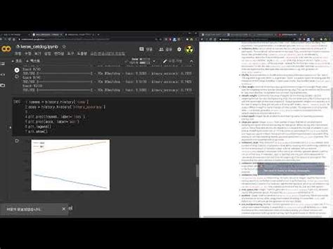 Python DeepLearning 딥러닝 기초 개 vs 고양이 분류 YouTube