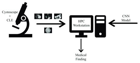 Dataflow Diagram Of Convolutional Neural Network Based Cnn Download Scientific Diagram
