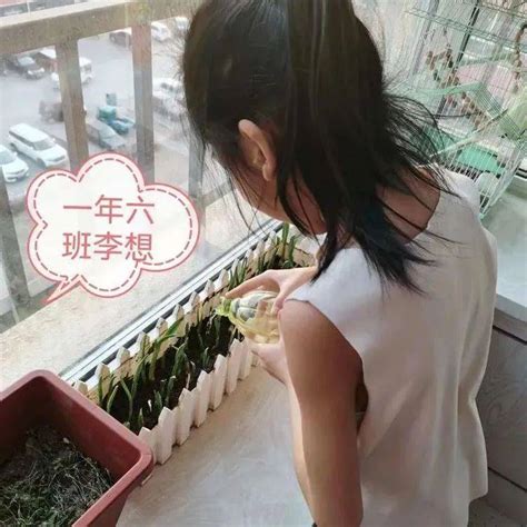 缤纷假期从书本到实践 劳动 赤峰市 教育