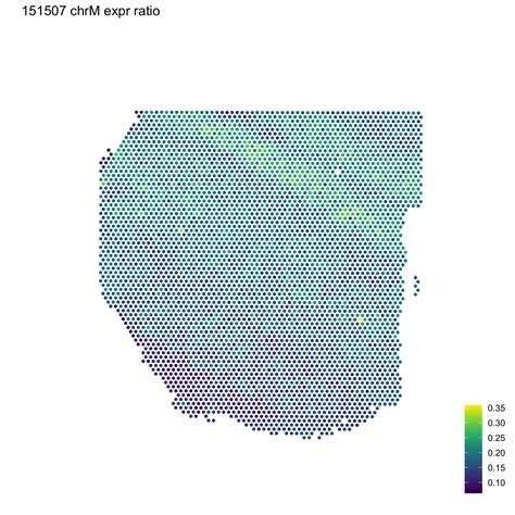 Using Visiumexperiment At Spatiallibd Package R Bloggers
