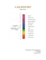 Lab Buffer System LAB REPORT Buffer Systems Keyongjun Min Joanne Oh Rachael Ott DE Biology