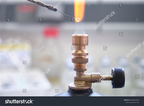 5 Hundred Inoculation Loop Royalty Free Images Stock Photos Pictures Shutterstock