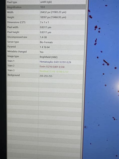 Lagging When Carrying Out Annotation Usage And Issues Imagesc Forum