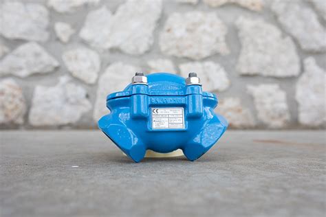 2 Ball Check Valve 90° For Pump Discharge Bertrem Products Inc