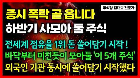 주식 외국인 기관 동시에 집중매수 포착됐다 전세계 돈 싹다 쓸어담고 1등될 이주식 증시하락 경고등 켜졌습니다 흔들리지말고 이 종목 꾸준히 모아두세요