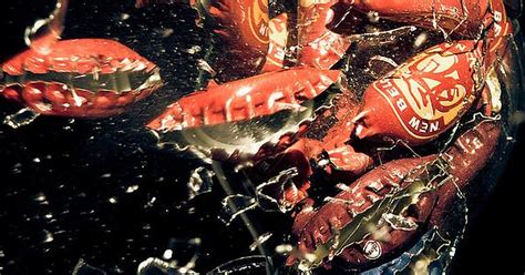 Exploding Light Bulbs Filled With Random Things Album On Imgur