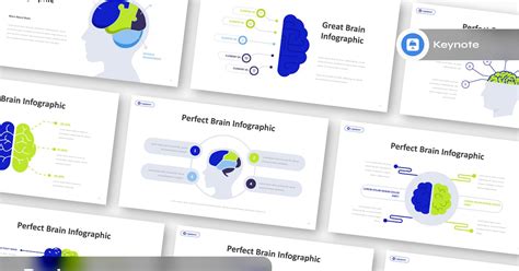 Инфографическая презентация мозга Keynote Шаблоны презентаций Включая презентация и