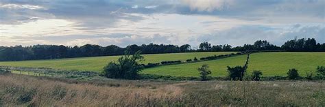 Well Hello Again 👋 Join Us Stepps Primary School Pta Facebook