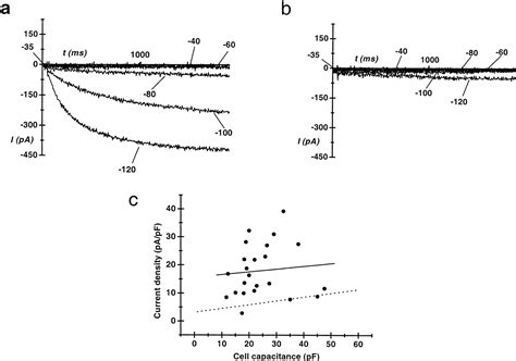 Figure 6 From Properties Of The Hyperpolarization Activated Current I F In Isolated Mouse