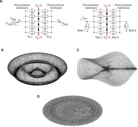 Different Finite Element Geometries And Meshes A Schematic