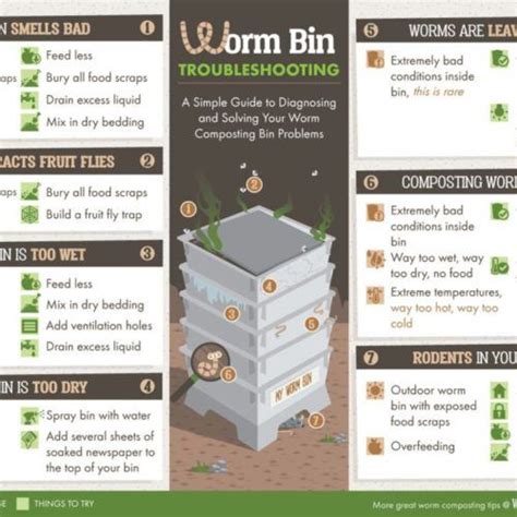 Magnet Worm Bin Troubleshooting Infographic A Simple Guide To